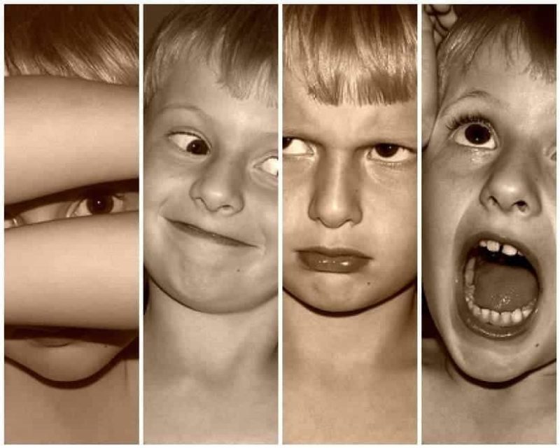 Pdf Procesos Cognitivos Y Sistemas Cerebrales De La Emoción Psyciencia