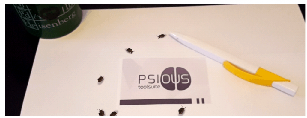 Realidad virtual en el consultorio: Una revisión de Psious | Psyciencia