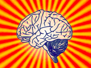 Neuromito: La creatividad se encuentra en el hemisferio derecho del ...